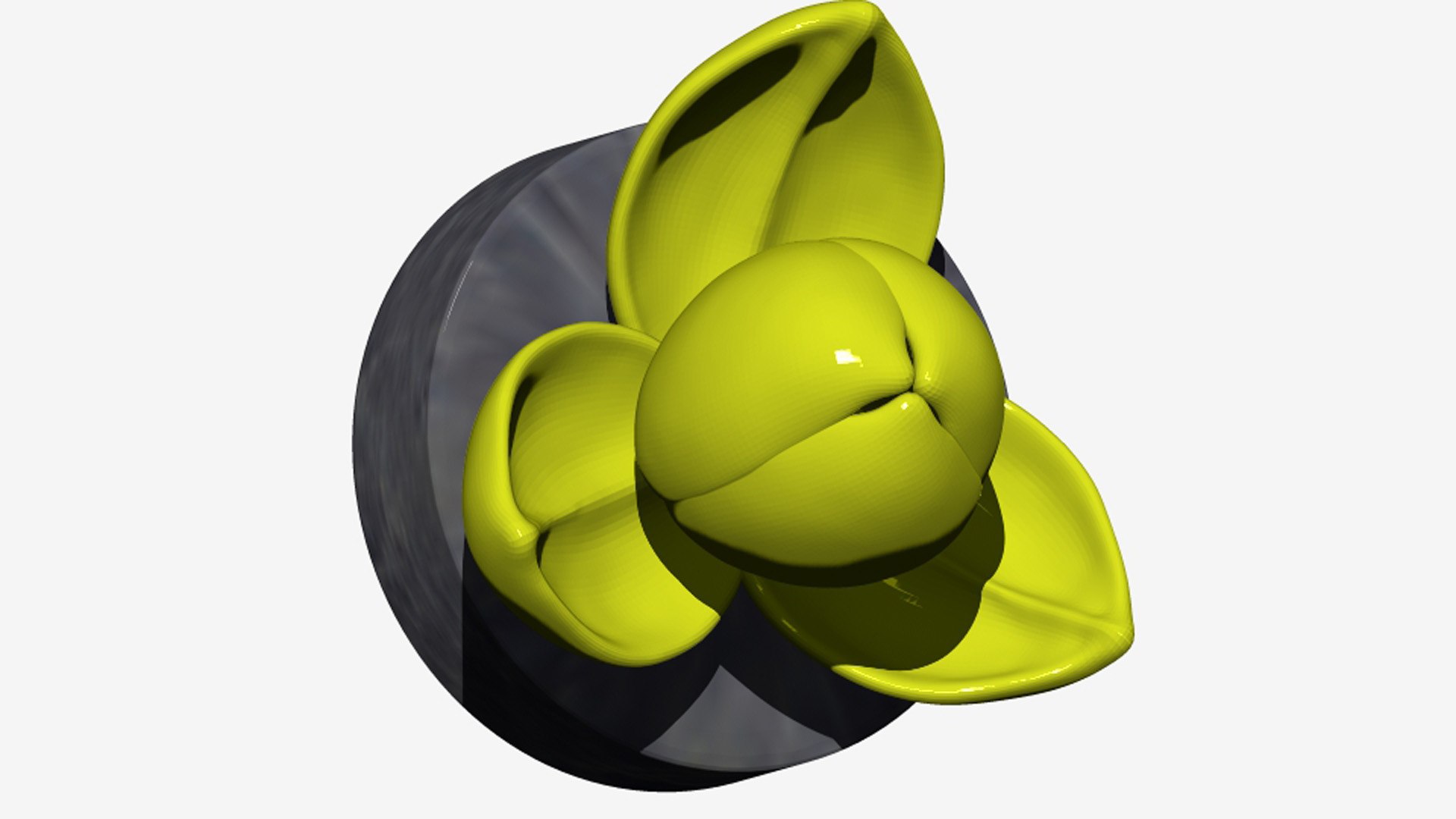 3D Runduol Flower - TurboSquid 2001783