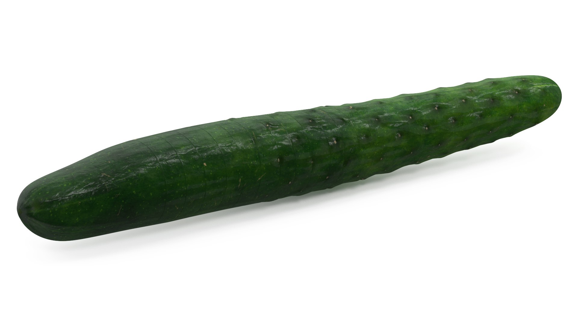 3D Model Cucumber Ring Sliced - TurboSquid 1984158