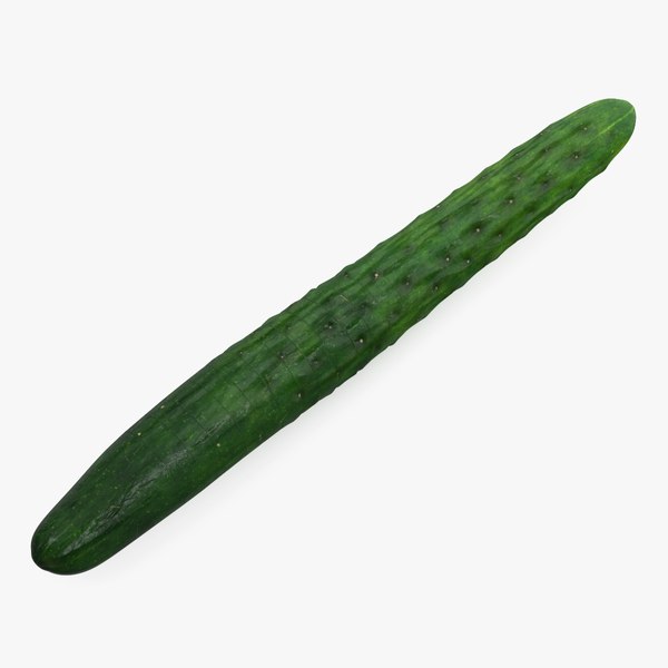 modelo 3d Cucumber Ring Sliced - TurboSquid 1984158