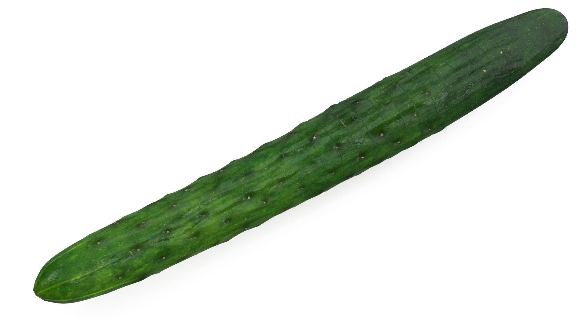 3D Model Cucumber Ring Sliced - TurboSquid 1984158