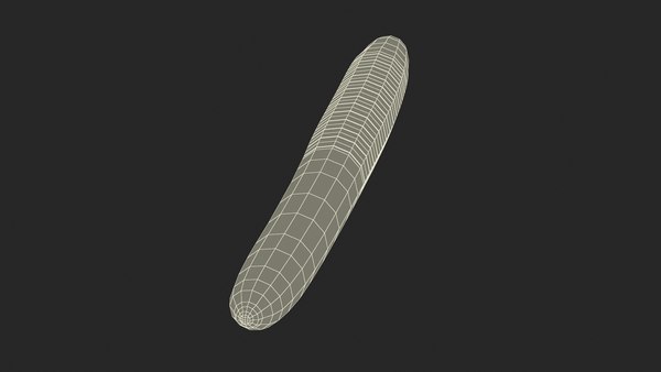 modelo 3d Cucumber Ring Sliced - TurboSquid 1984158