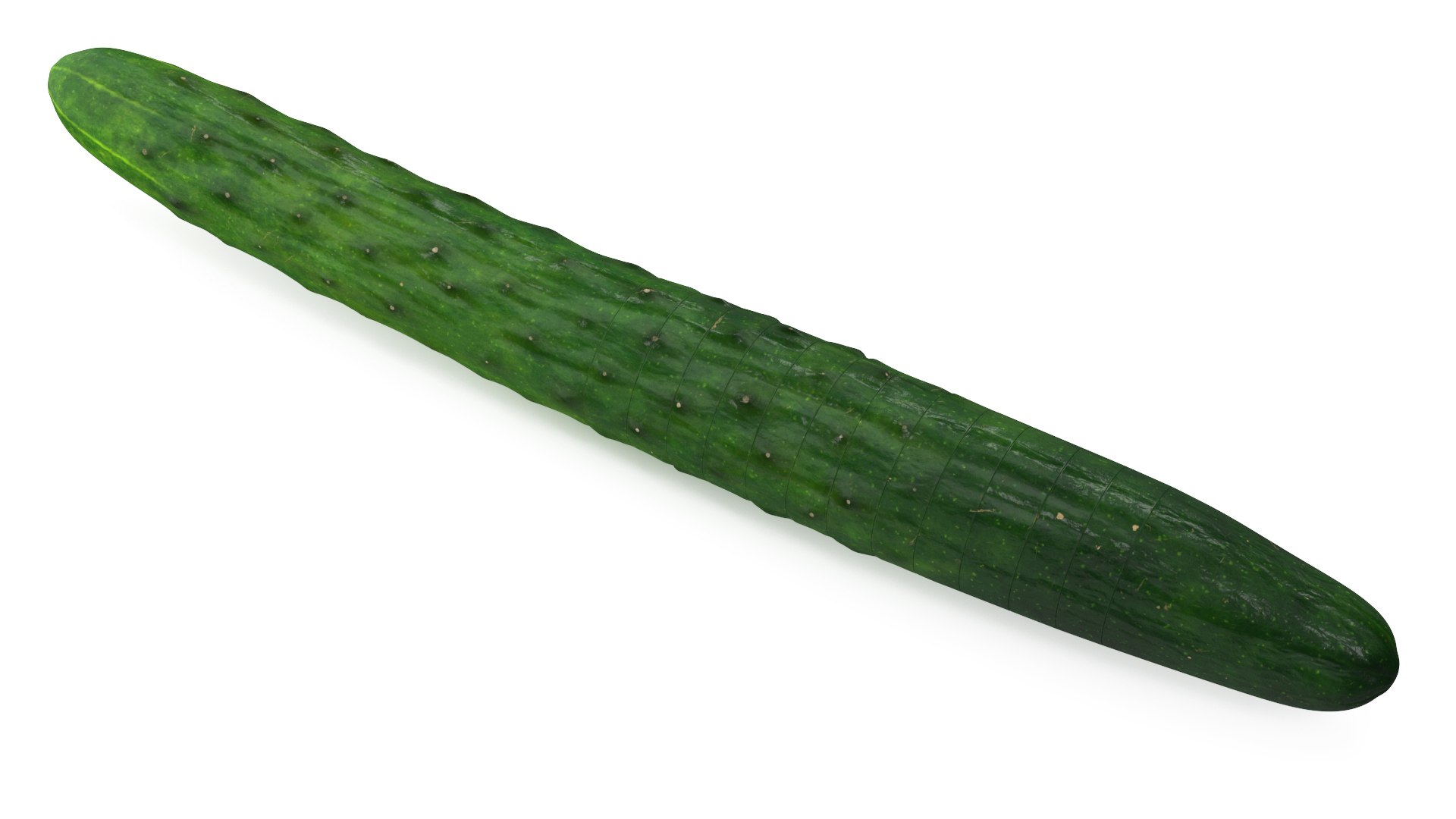 3D Model Cucumber Ring Sliced - TurboSquid 1984158
