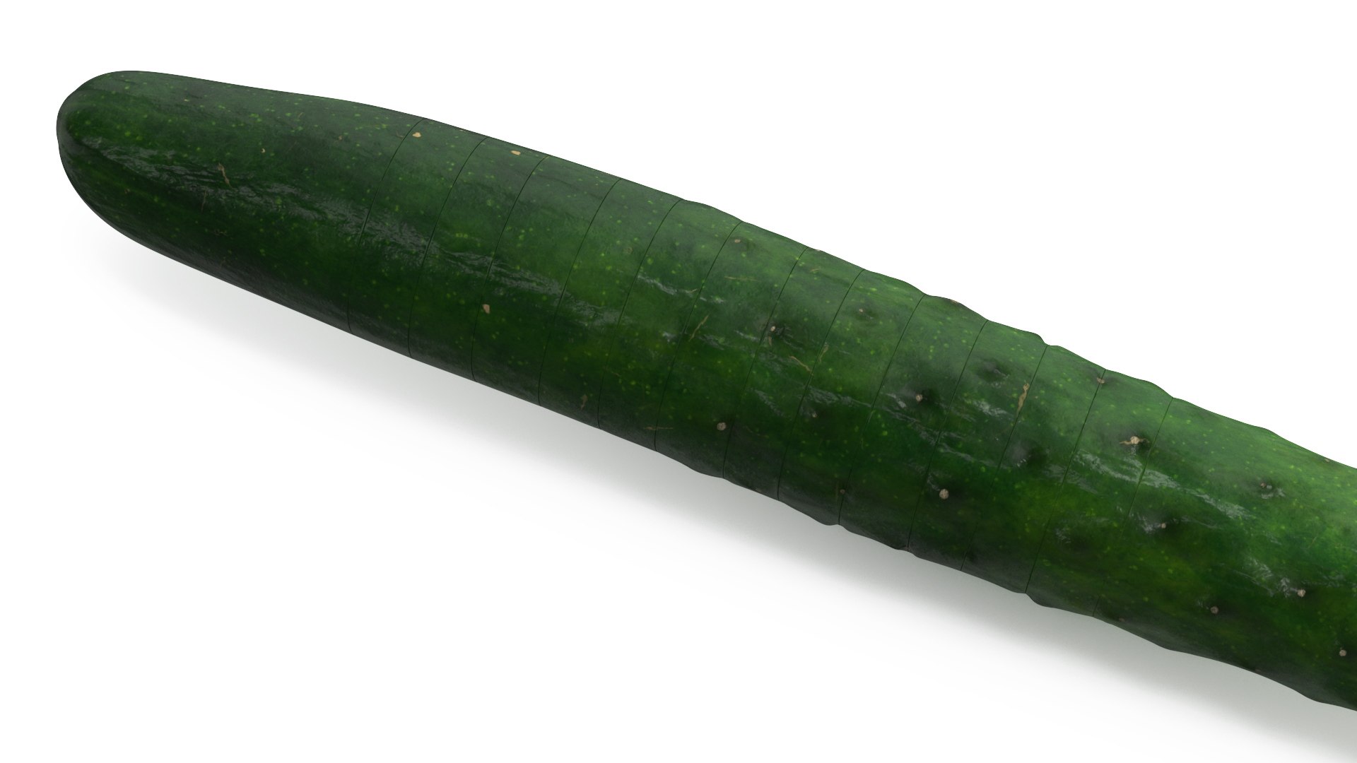 3D Model Cucumber Ring Sliced - TurboSquid 1984158