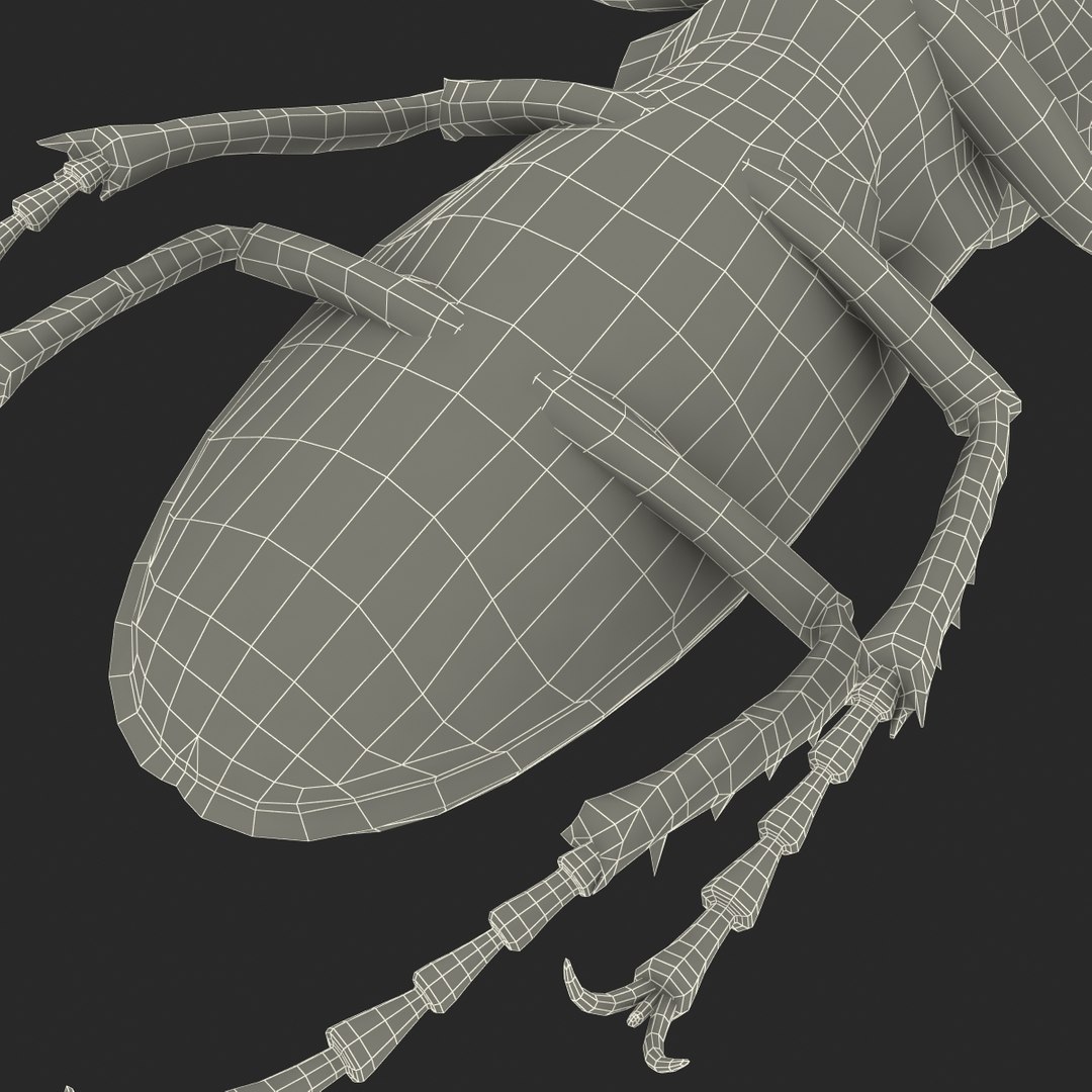 3d model stag beetle