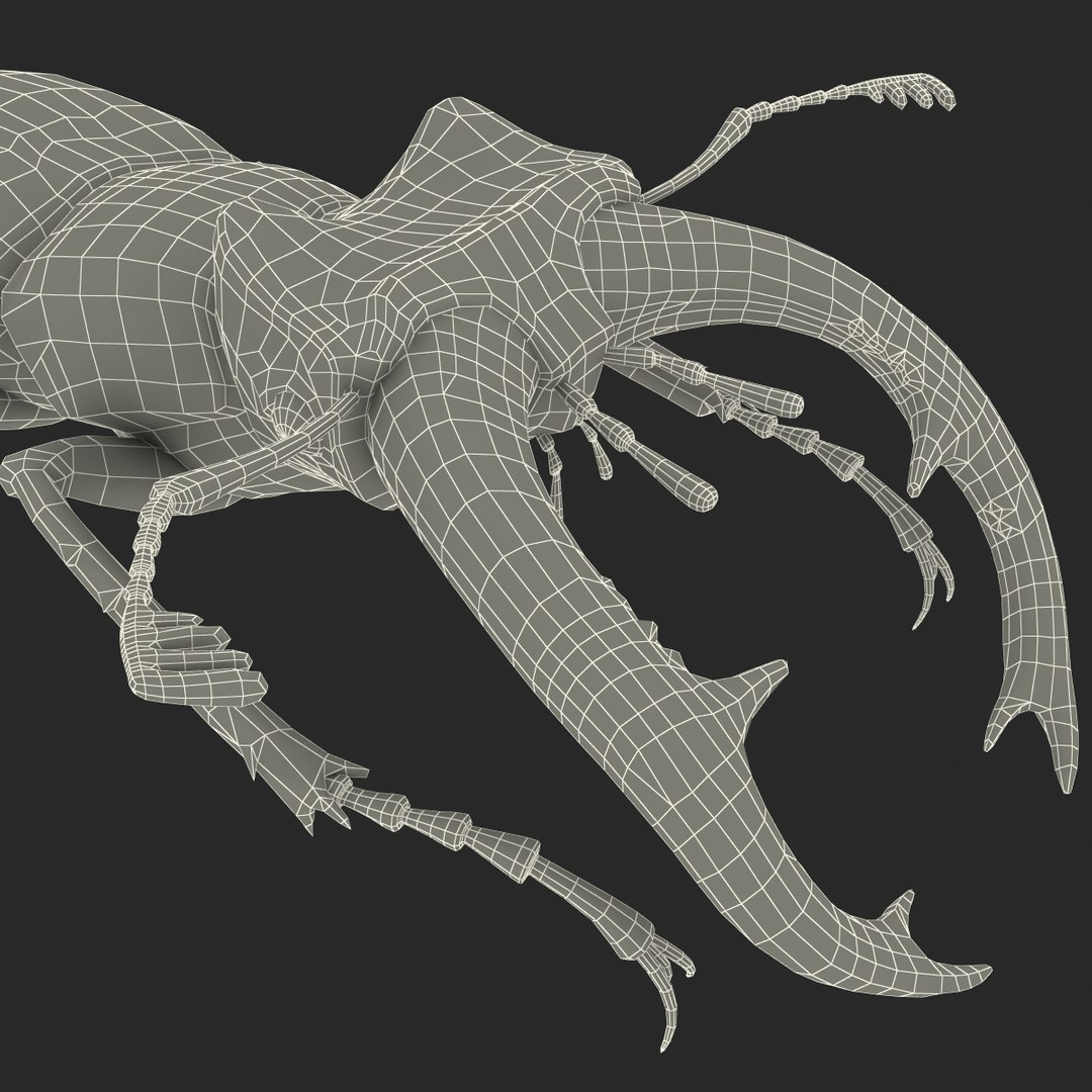 3d model stag beetle
