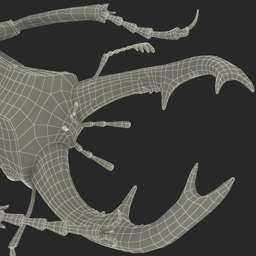 3d model stag beetle