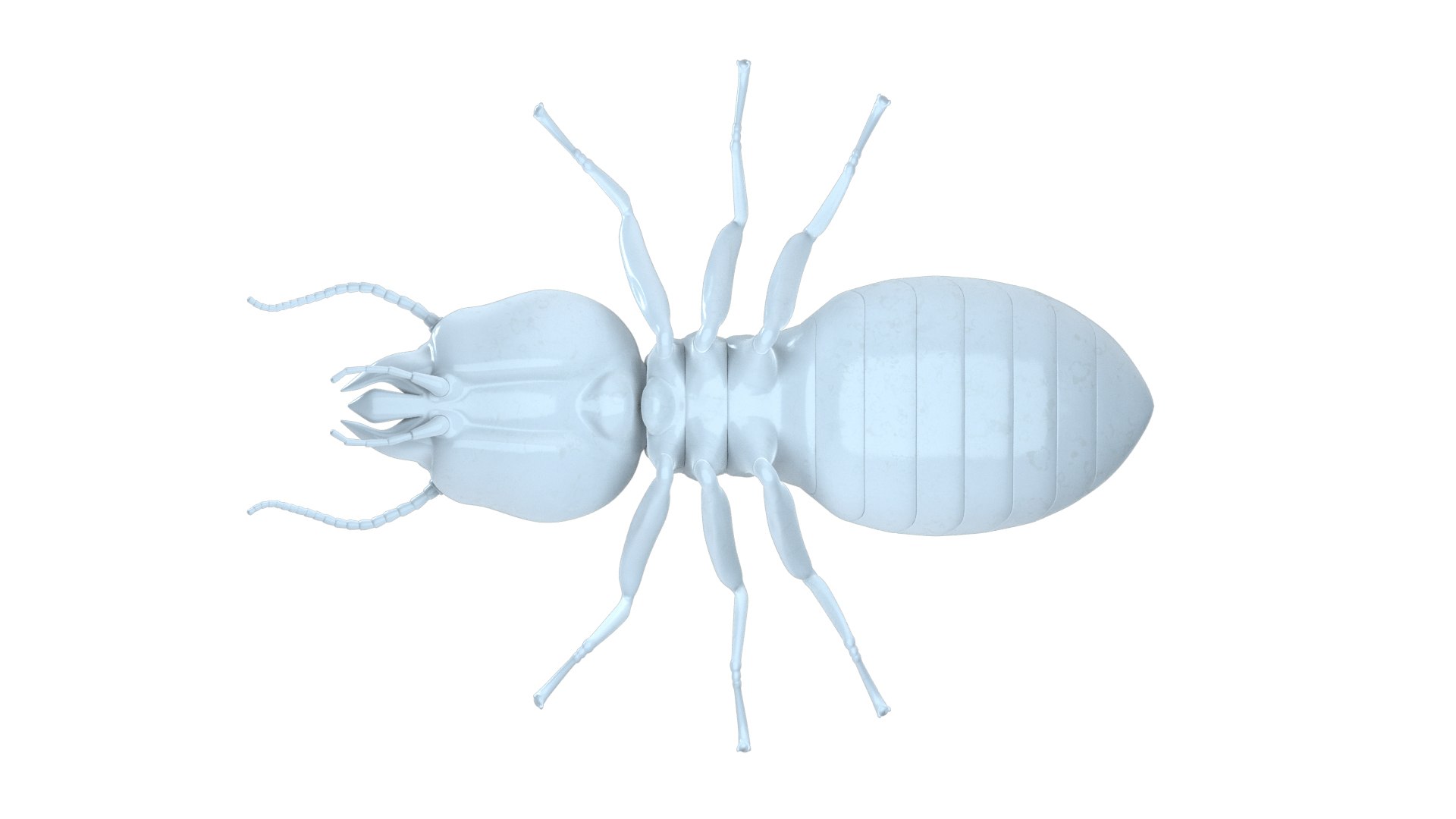 Young Termite 3D Model - TurboSquid 1589086
