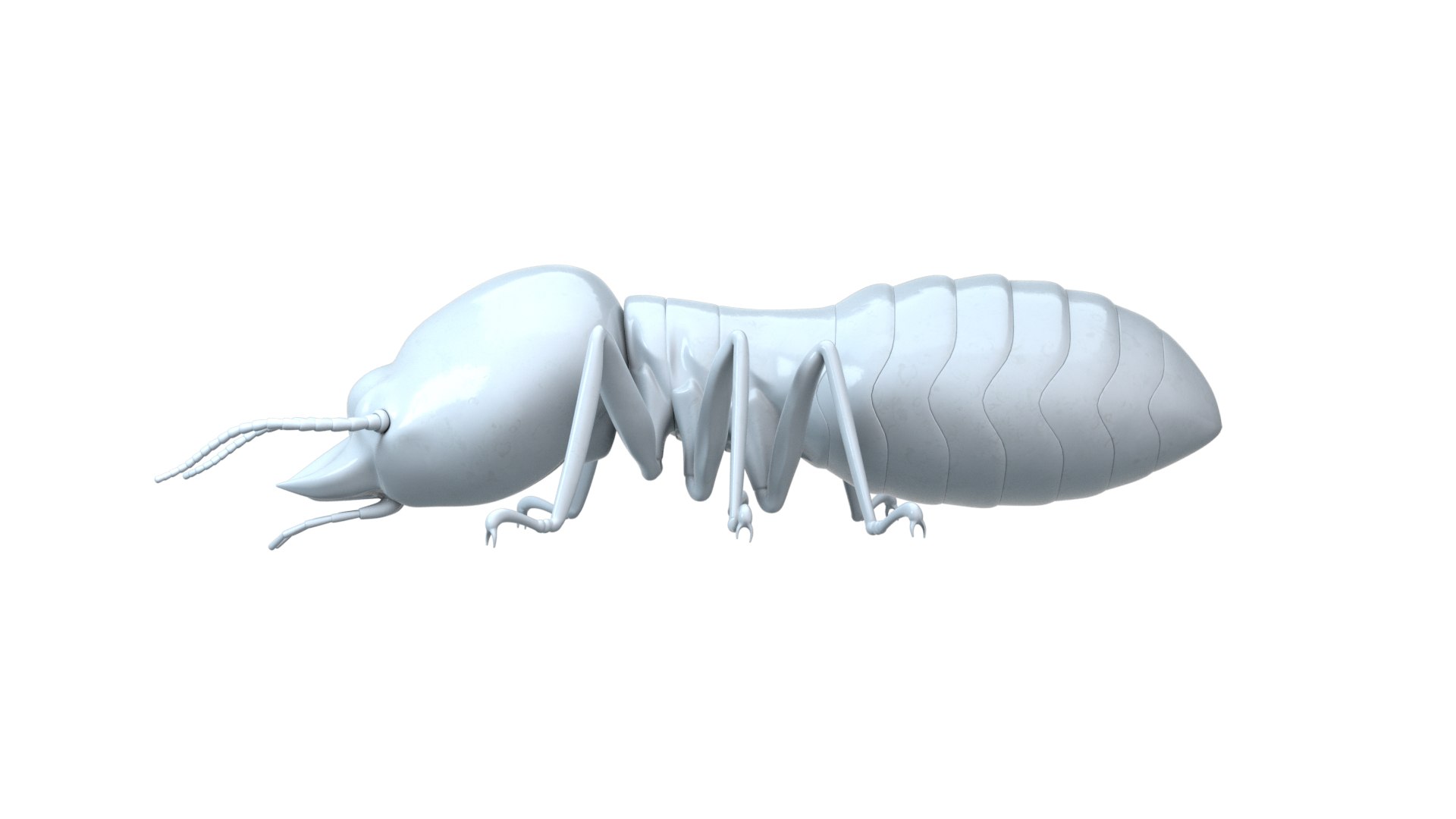 Young Termite 3D Model - TurboSquid 1589086