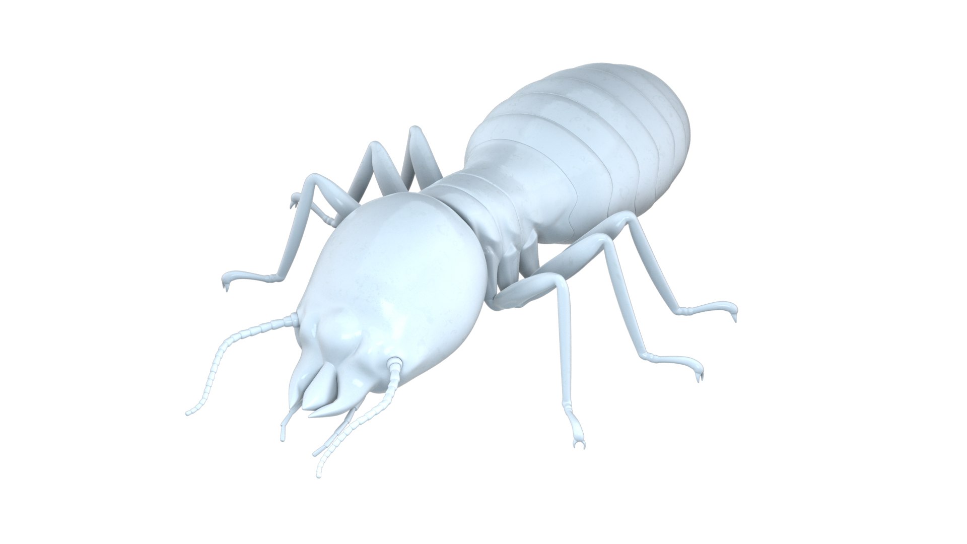 Young Termite 3D Model - TurboSquid 1589086