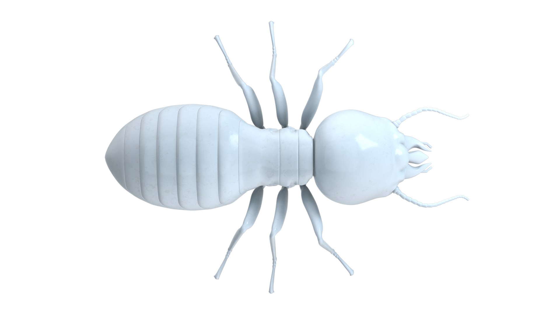 Young Termite 3D Model - TurboSquid 1589086