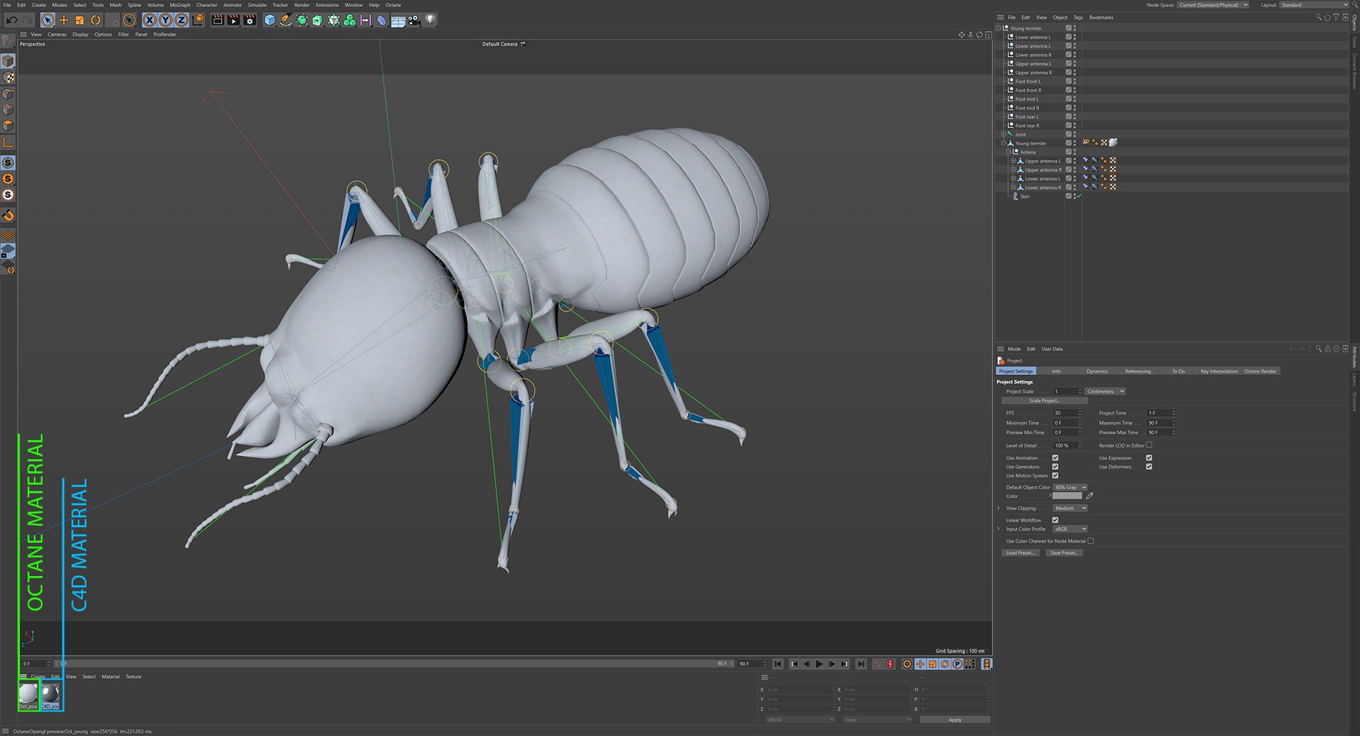 Young Termite 3D Model - TurboSquid 1589086