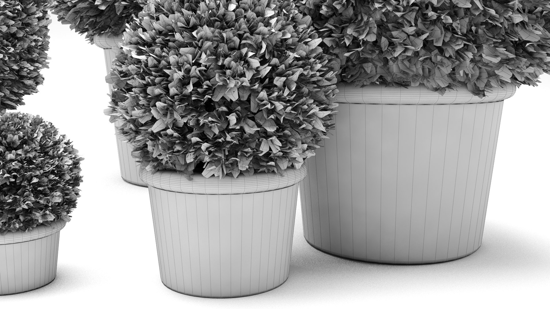 Boxwood Trees 3D Model - TurboSquid 1427778