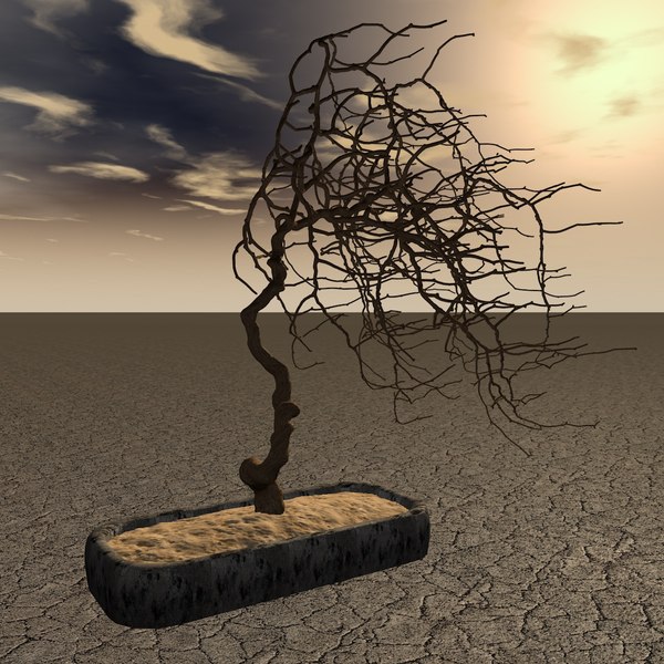 3d model of dry bonsai tree