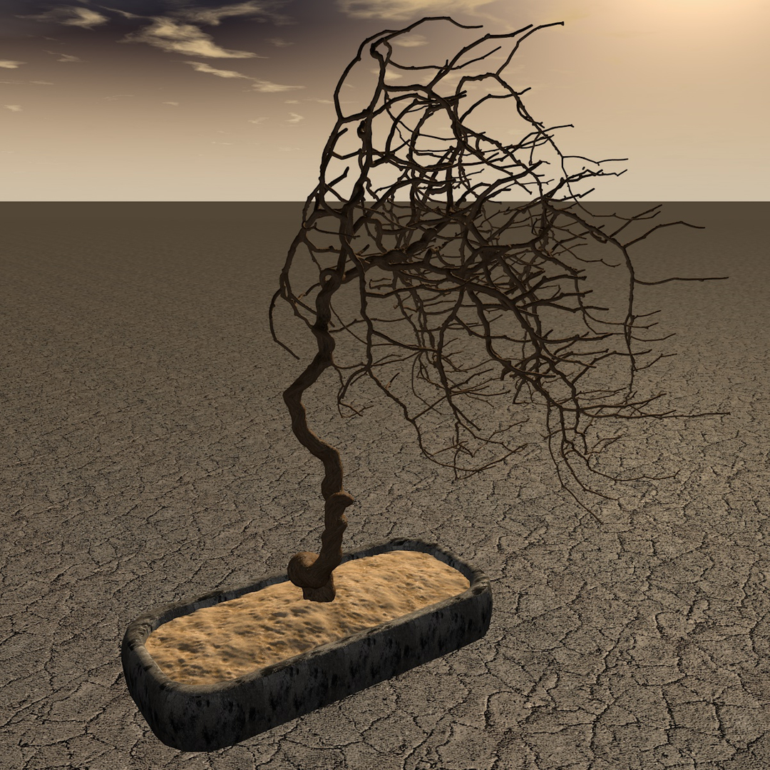 3d Model Of Dry Bonsai Tree