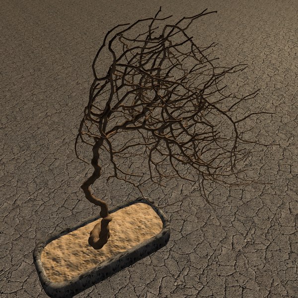 3d model of dry bonsai tree