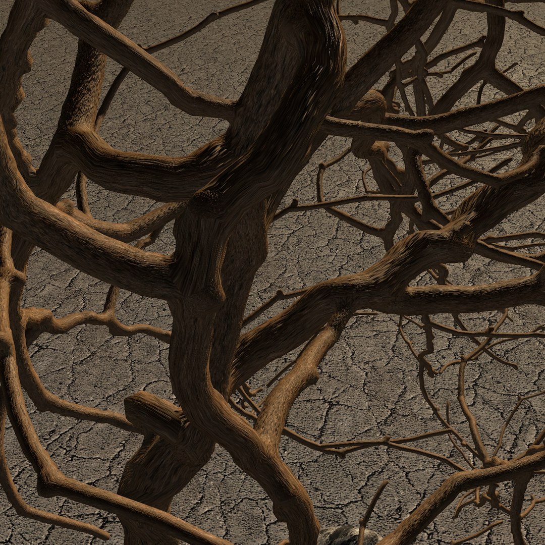 3d Model Of Dry Bonsai Tree