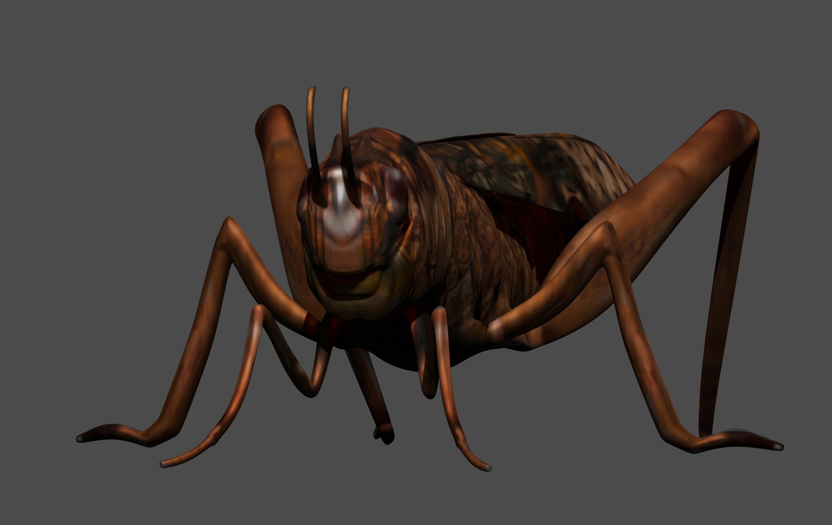 3D Locust - TurboSquid 1683183