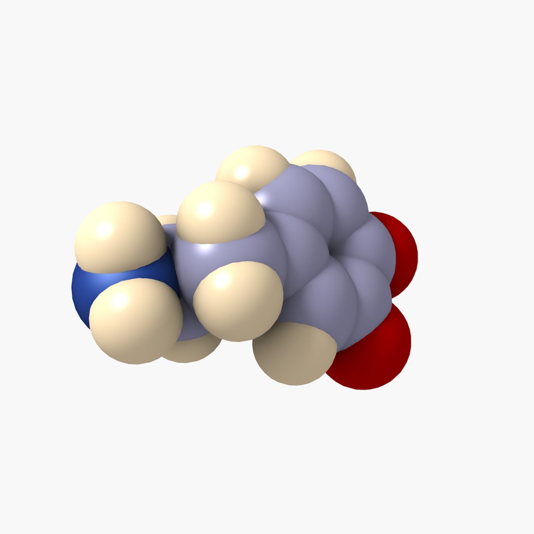 Dopamine Molecule Neurotransmitters 3d Model