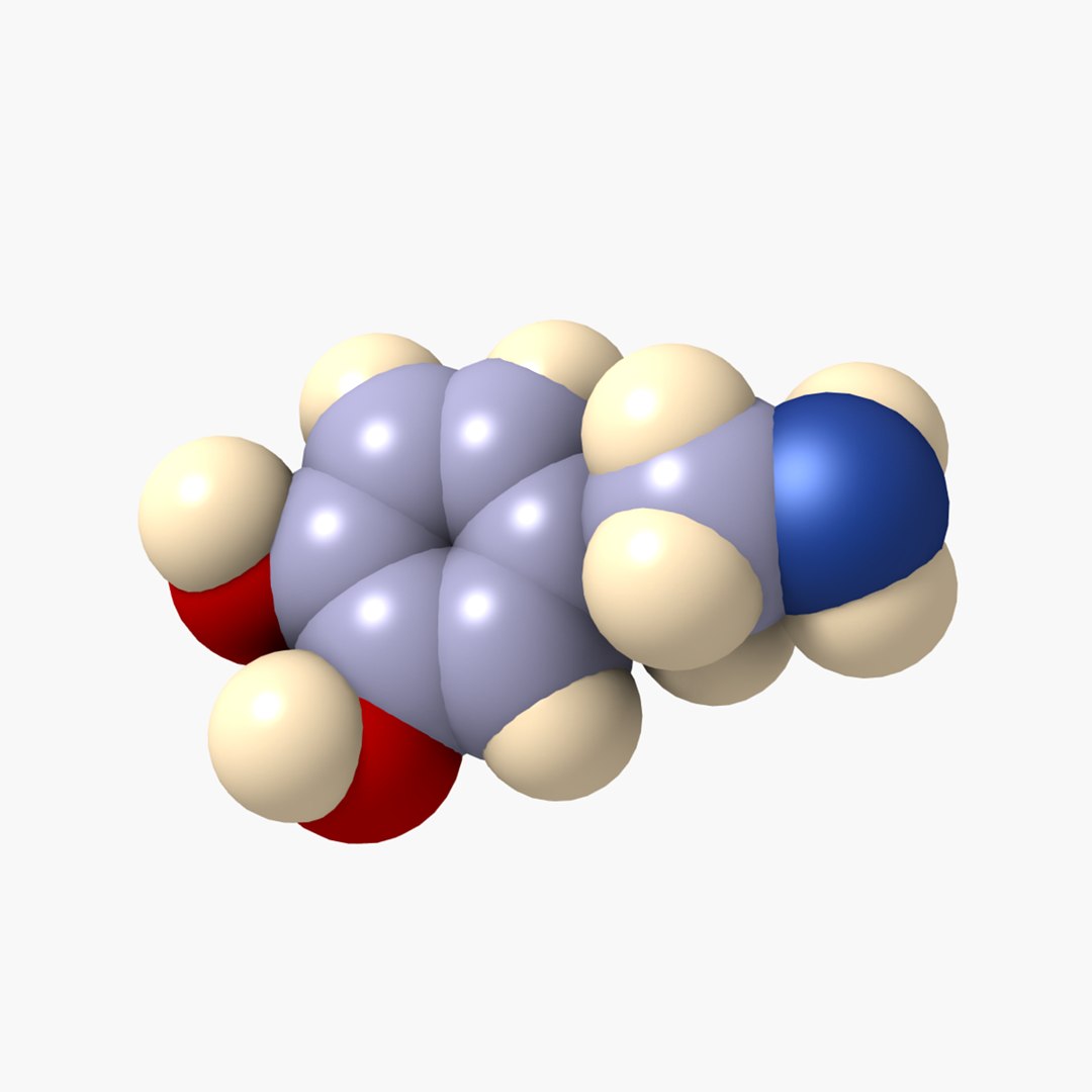 Dopamine Molecule Neurotransmitters 3d Model