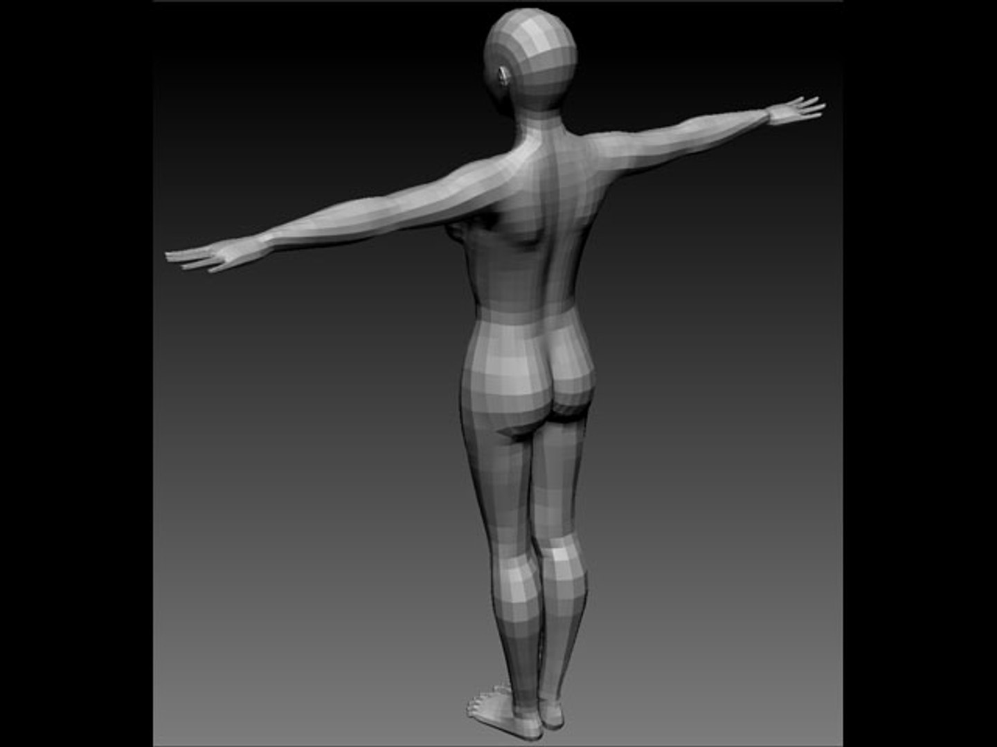Female Adult Body 3d Obj