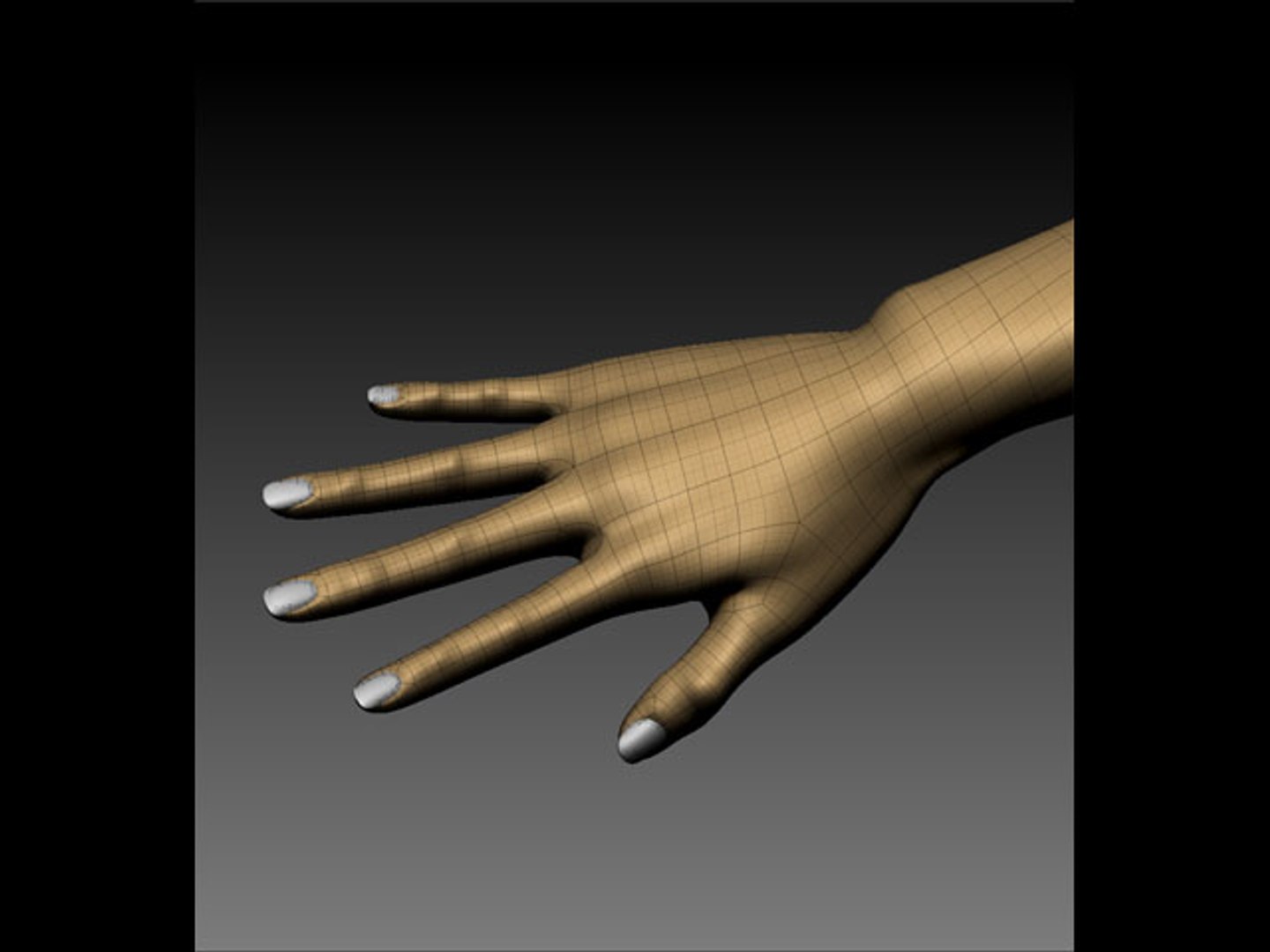 female adult body 3d obj