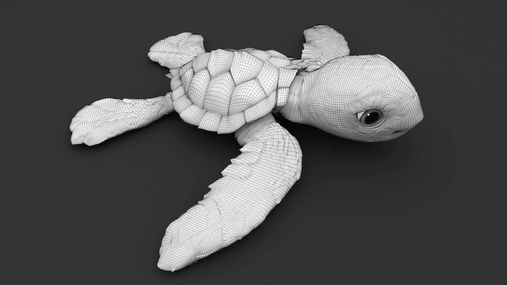 Turtle 3D Model - TurboSquid 2184435