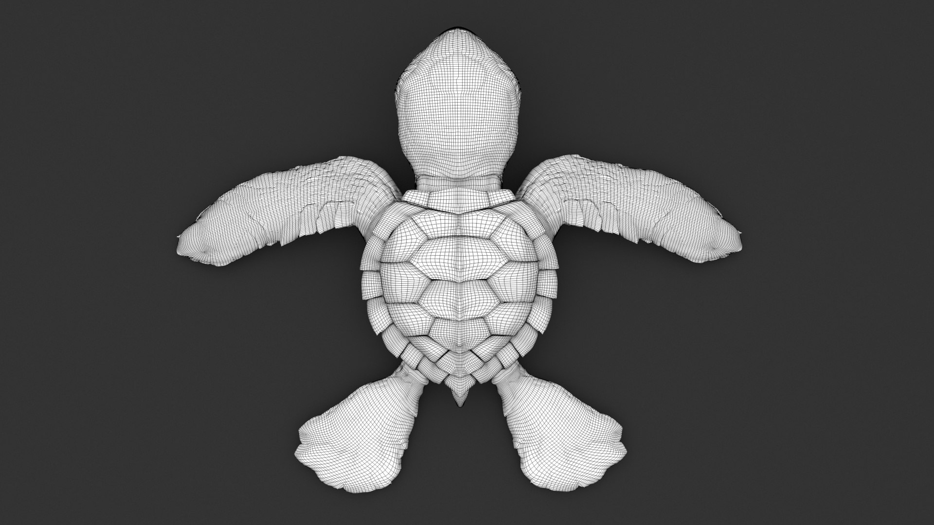 Turtle 3D Model - TurboSquid 2184435