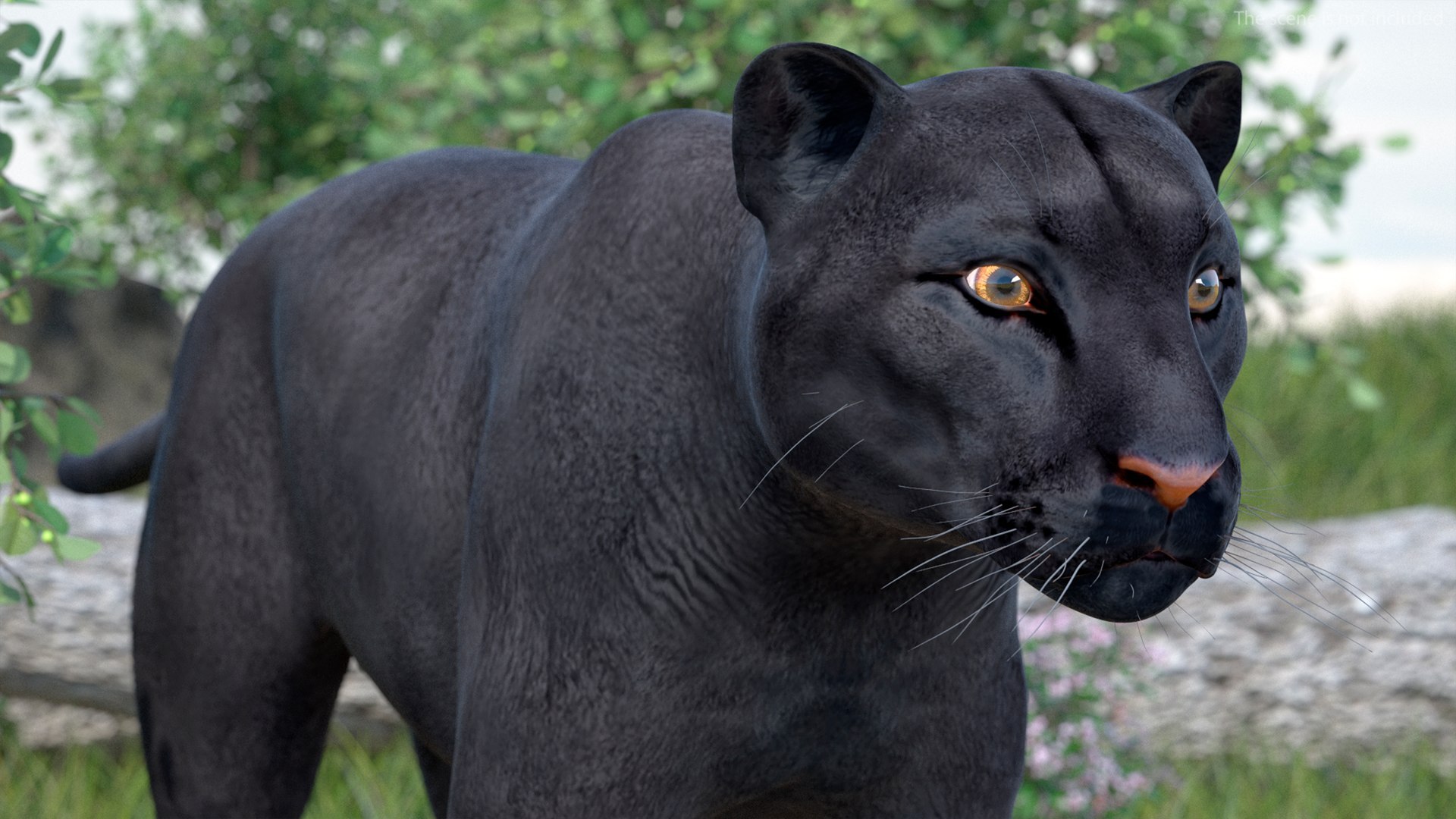 3D Rigged Big Cats Collection - TurboSquid 2303149