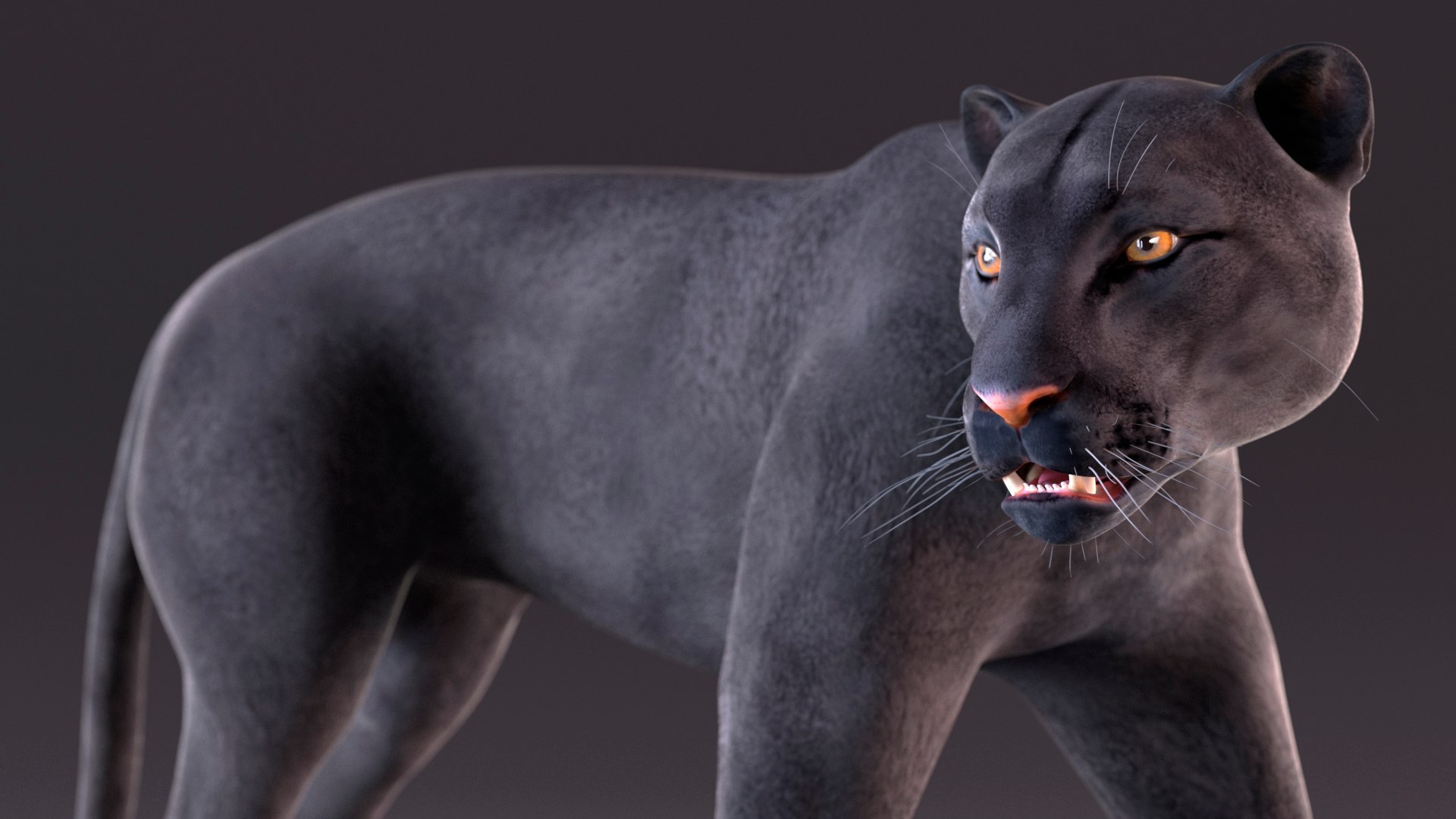 3D Rigged Big Cats Collection - TurboSquid 2303149