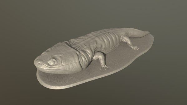 Siderops kehli printing 3D model - TurboSquid 1599253