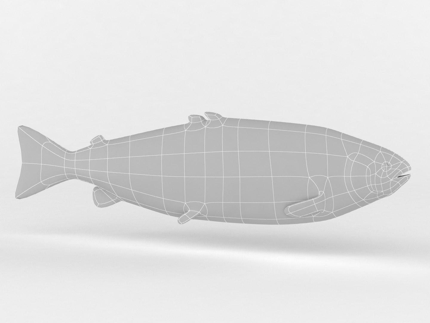 Salmon Fish 3D - TurboSquid 1367959