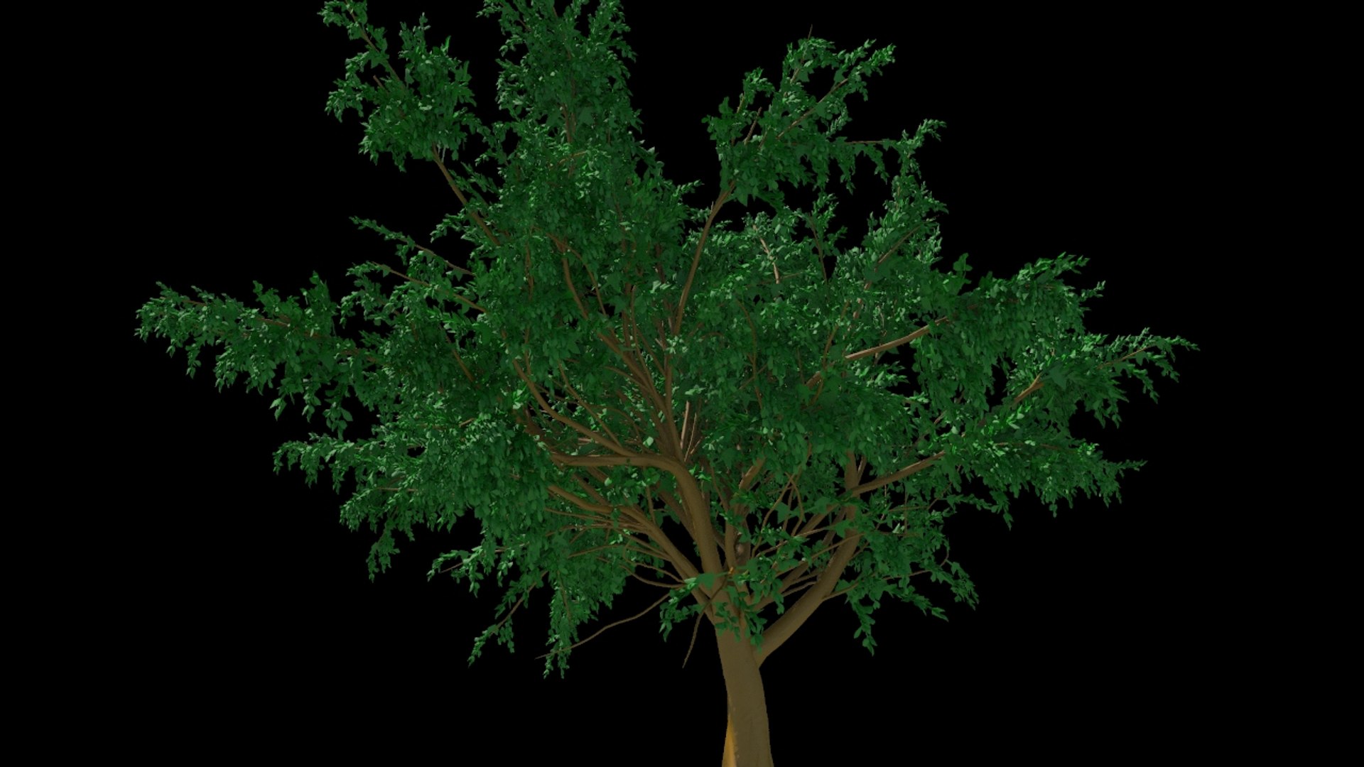 Tree Shatters Houdini 3d 3ds
