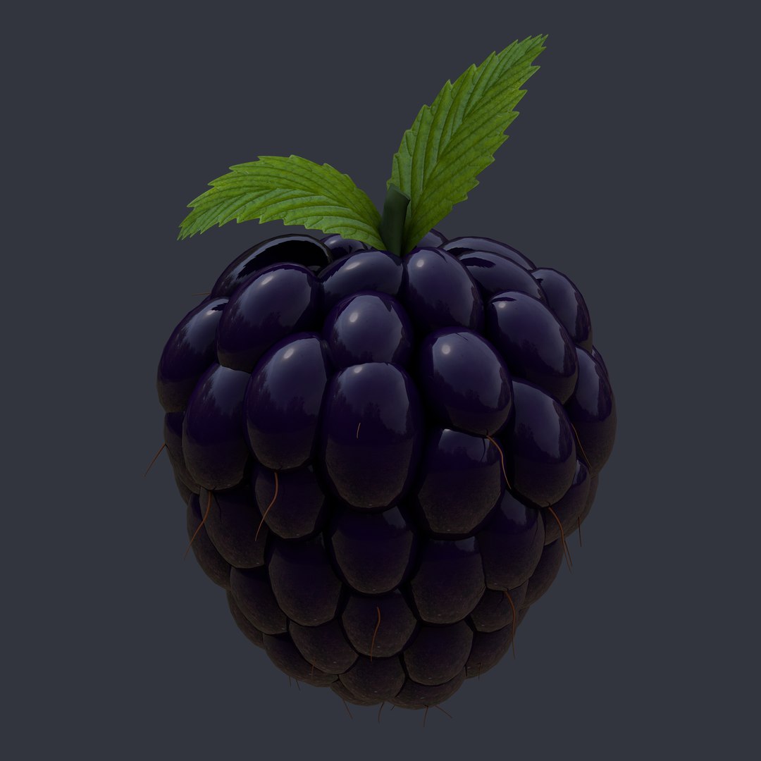3d Model Blackberry