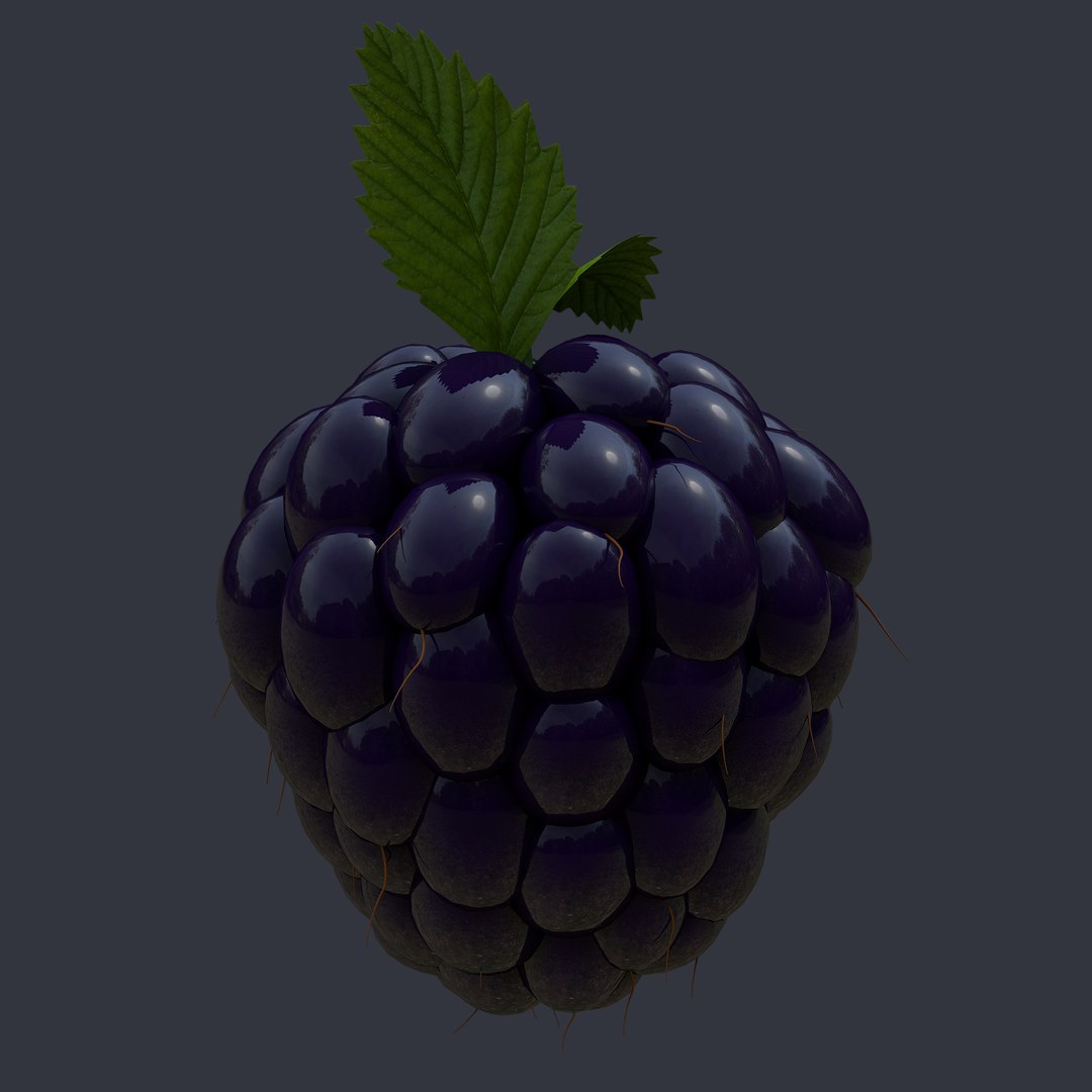 3d Model Blackberry