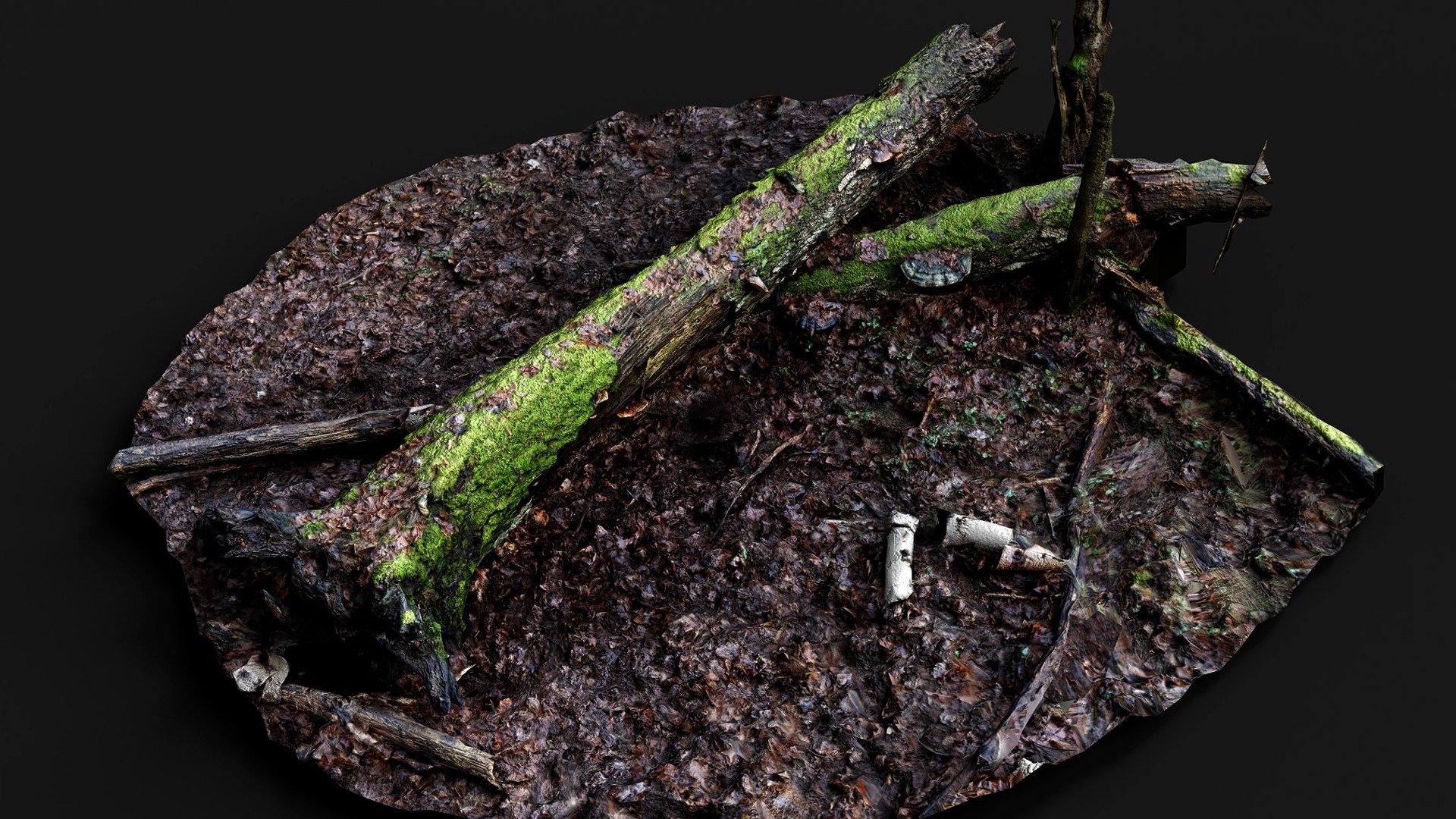 3D Broken Tree Mossy Stump Forest Ground Pt5 PBR Photogrammetry Model ...