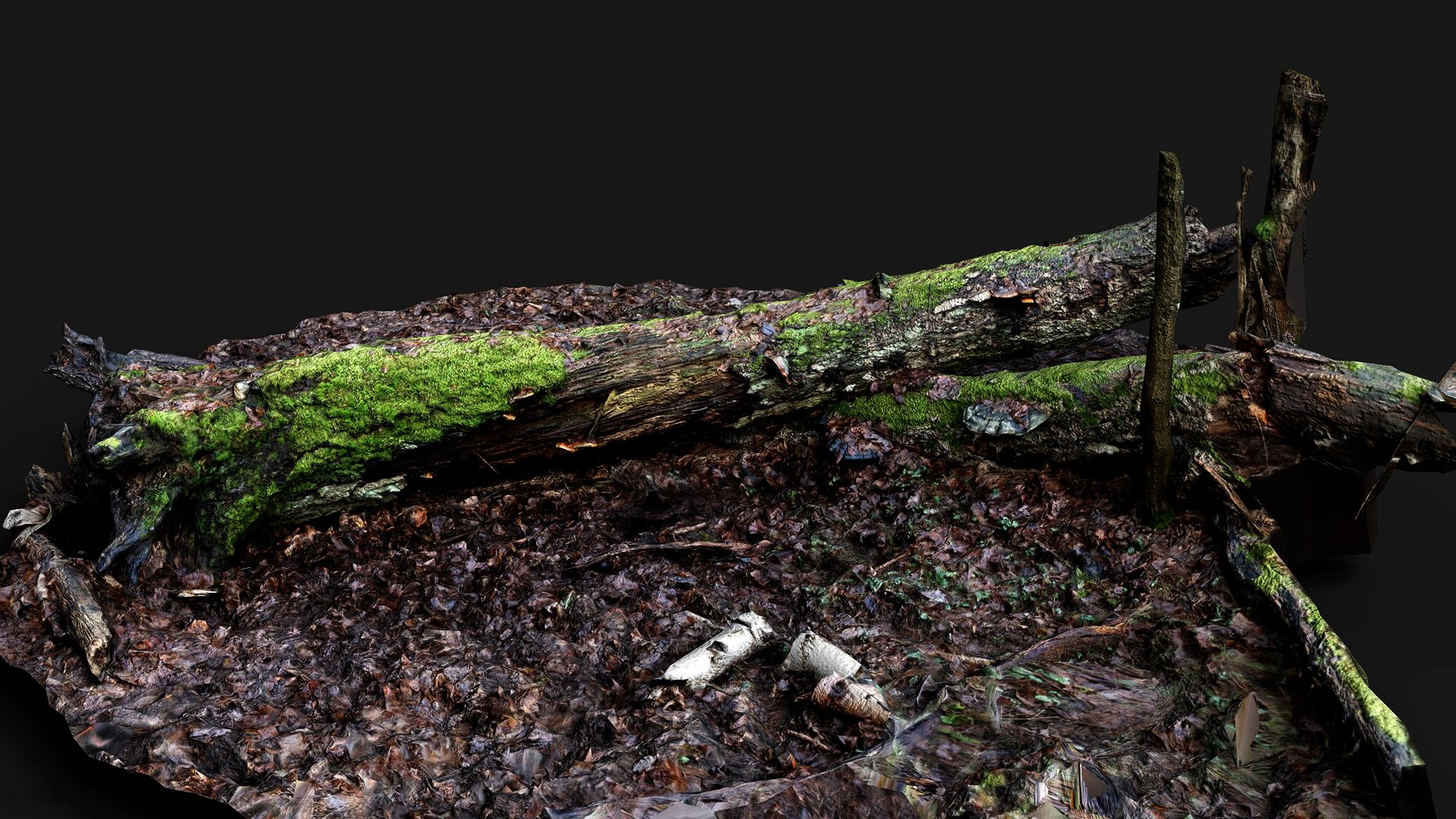 3D Broken Tree Mossy Stump Forest Ground Pt5 PBR Photogrammetry Model - TurboSquid 2433689