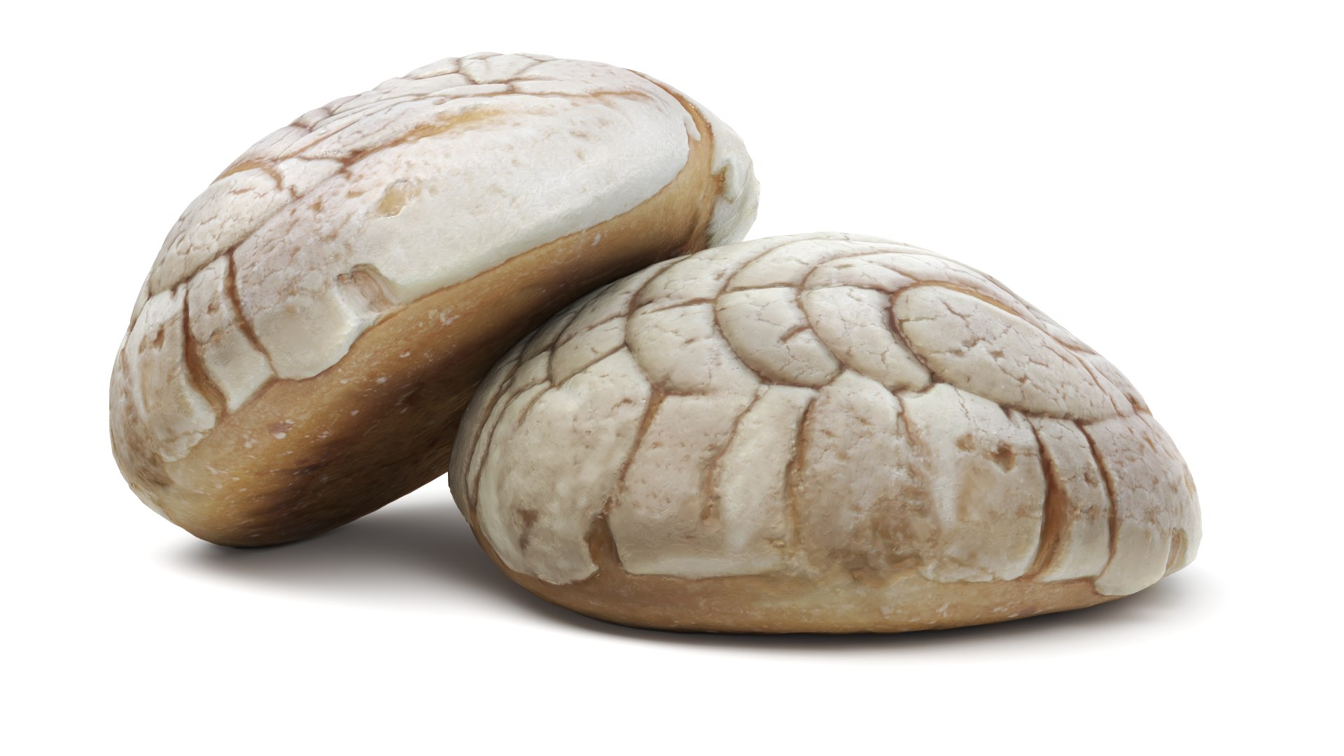 3D Mexican Bread Concha - TurboSquid 1352393