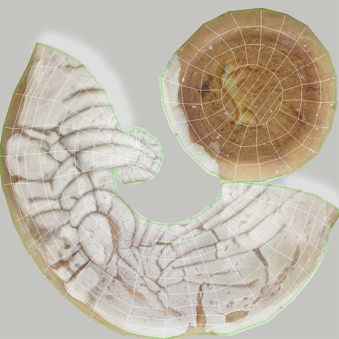 3D Mexican Bread Concha - TurboSquid 1352393