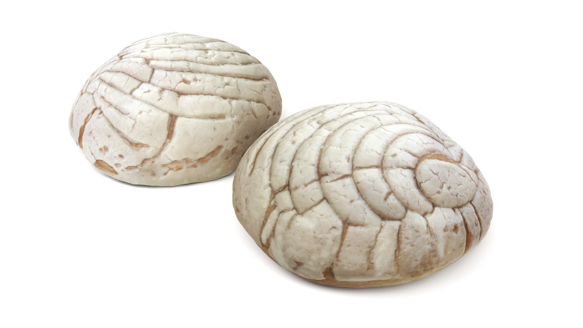 3D Mexican Bread Concha - TurboSquid 1352393