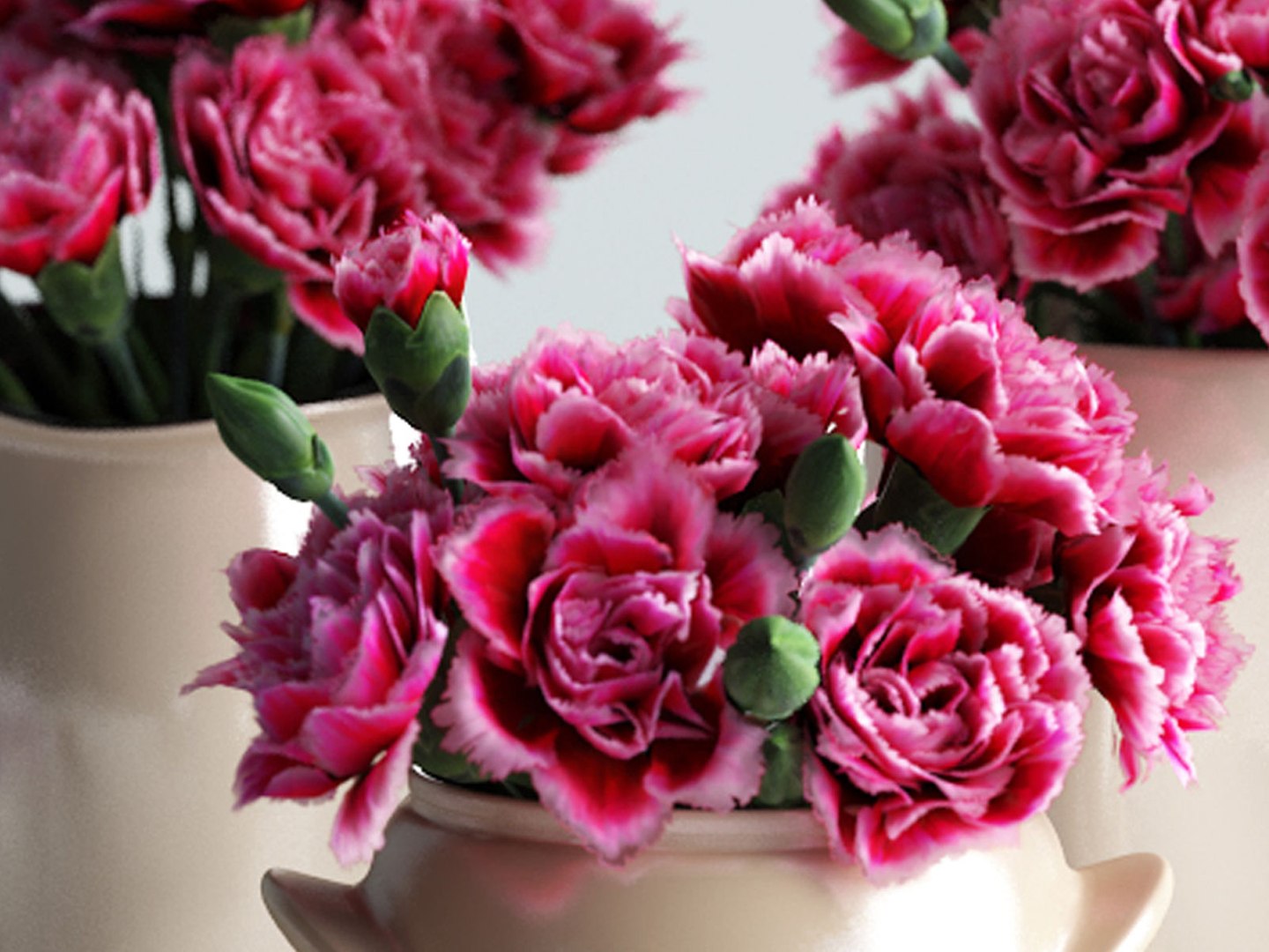 3D Pink Carnations Ceramic Vases - TurboSquid 1225506