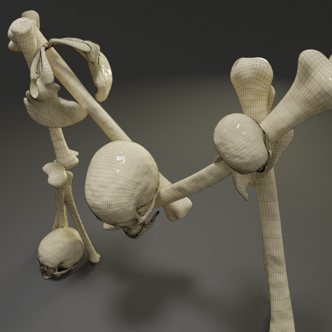 Letter M Bones Skeleton 3D Model - TurboSquid 1547510