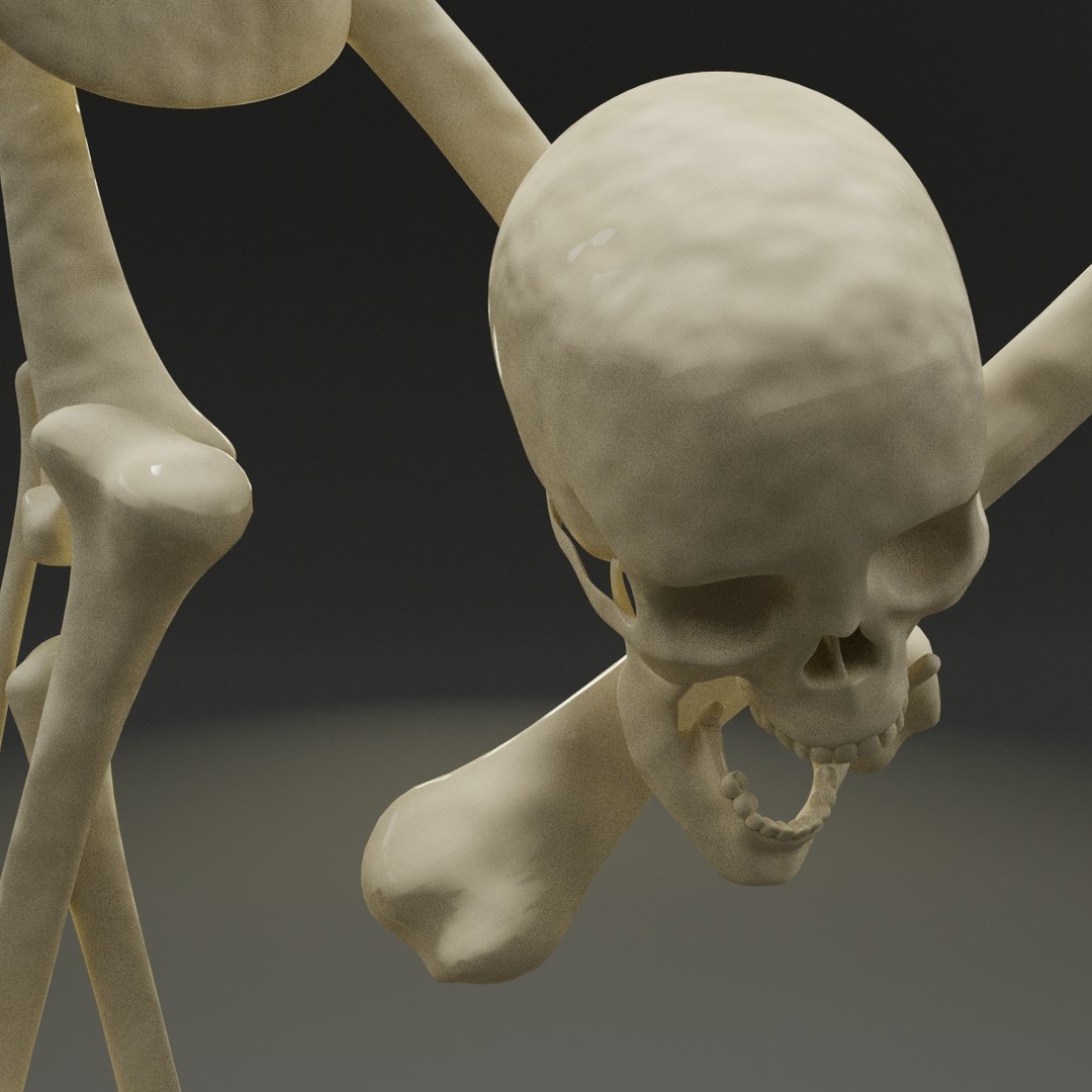 Letter M Bones Skeleton 3D Model - TurboSquid 1547510
