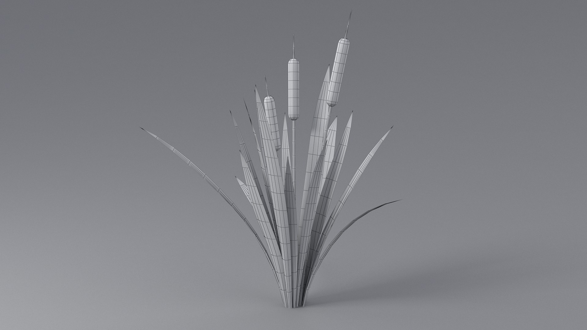 Cartoon Cattail 06 3D Model - TurboSquid 1936196