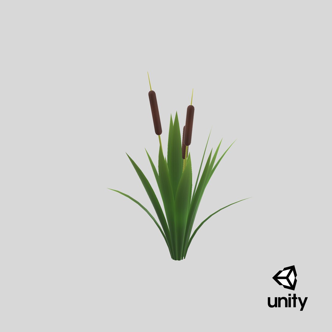 Cartoon Cattail 06 3D Model - TurboSquid 1936196