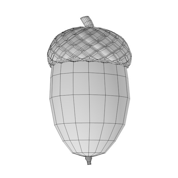 acorn 3d obj