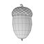 Acorn 3d Obj