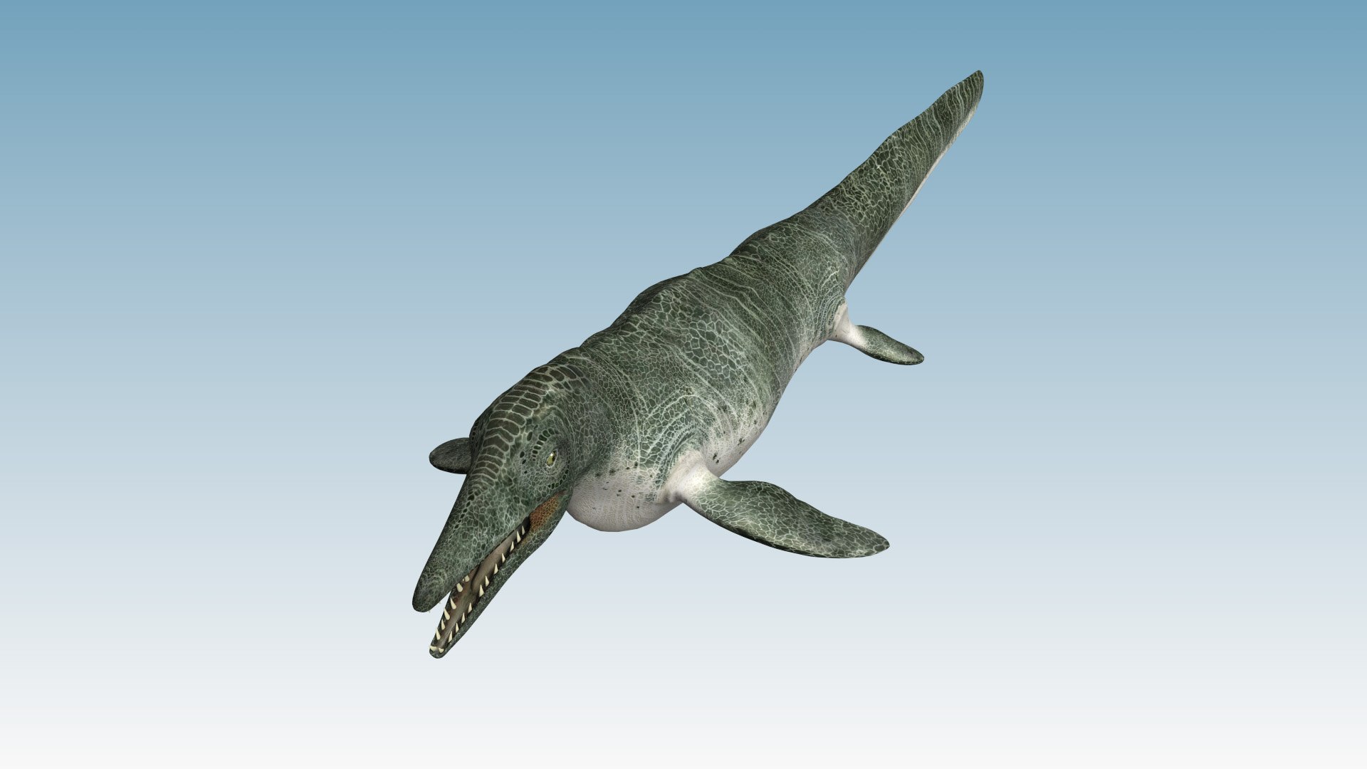 Tylosaurus Max