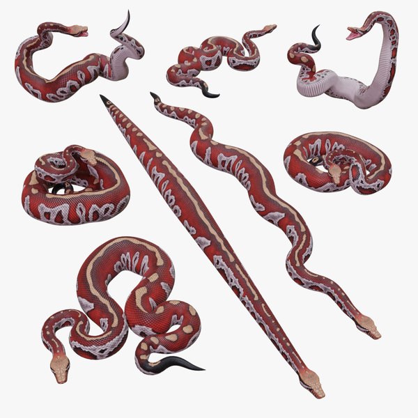 Blood Python - 3d Mesh model - TurboSquid 1775696