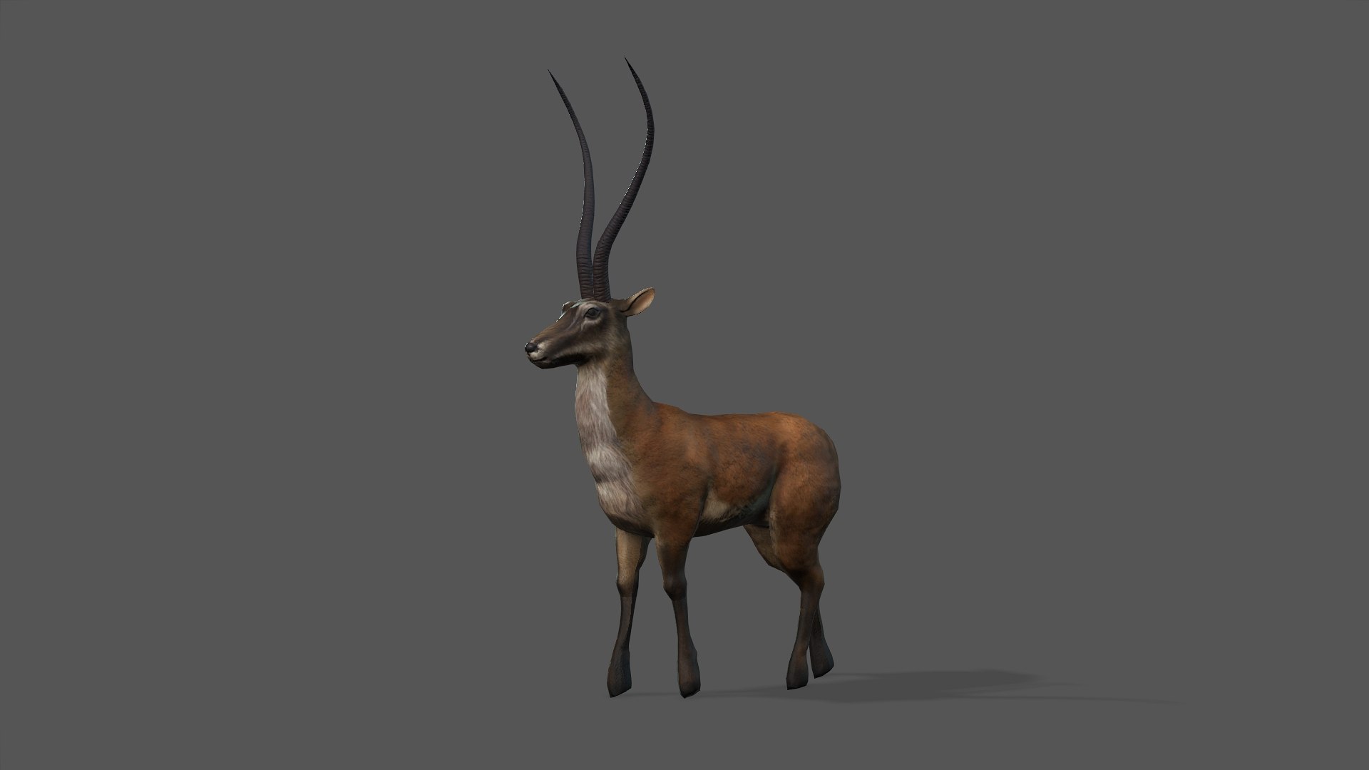 3D Antelope-01 Model - TurboSquid 1938400