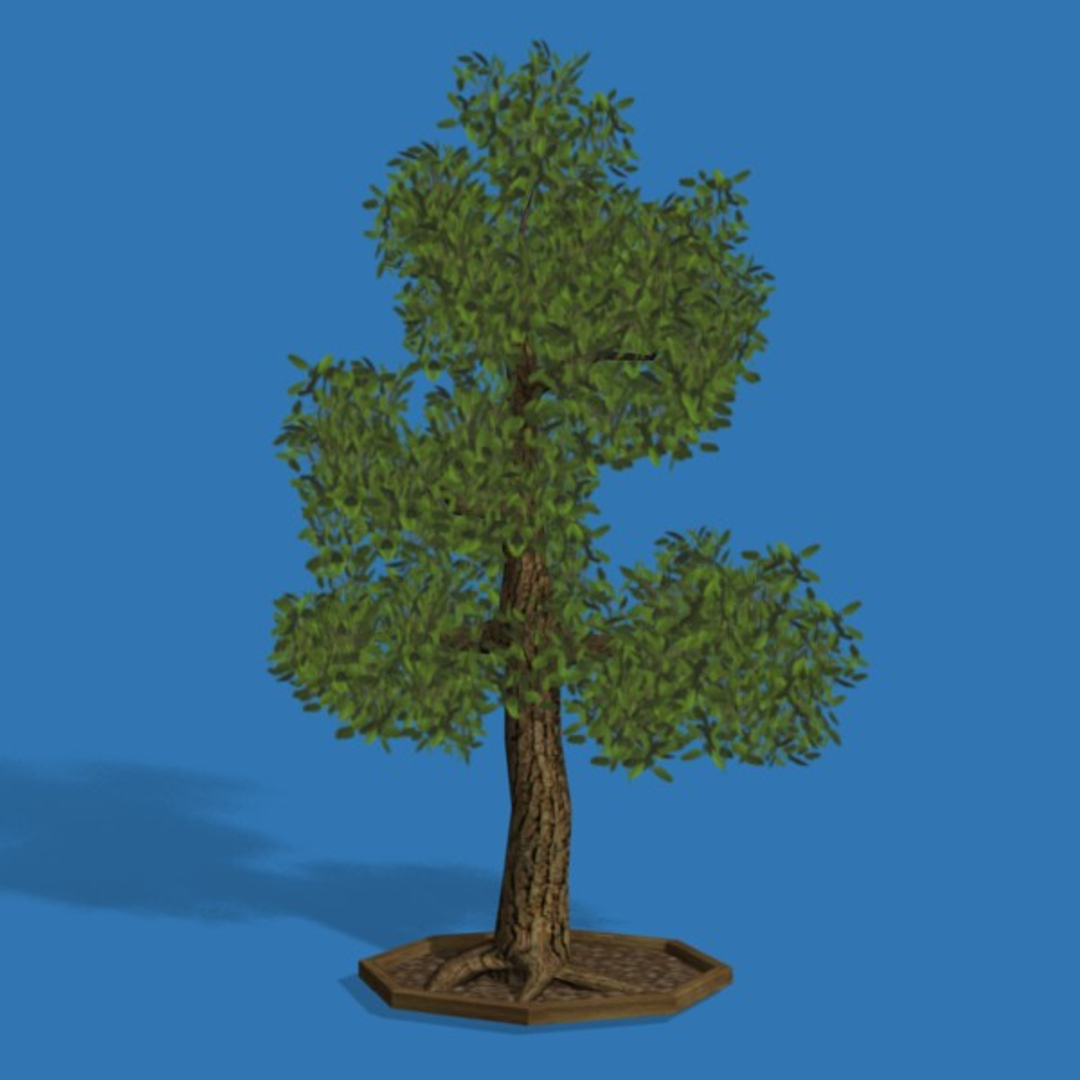 3d model elm tree pl